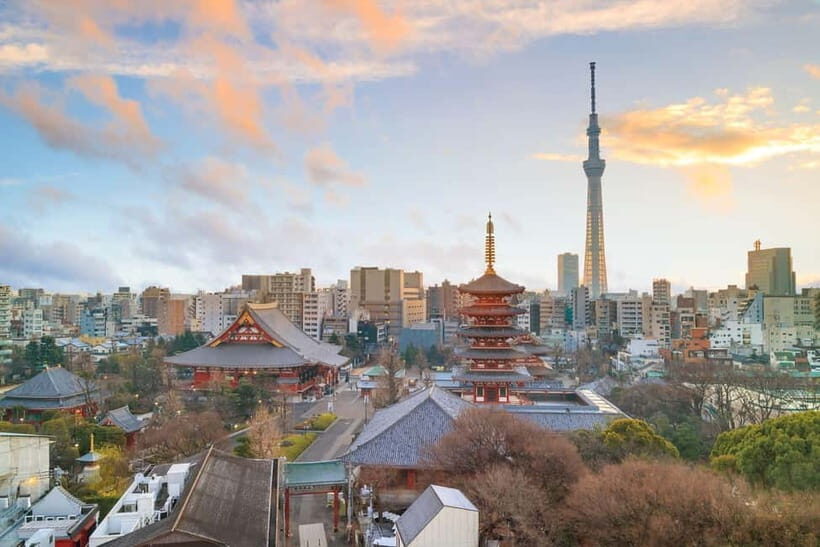 Tokyo: Half-Day Morning Small Group Tour - The Value of the Tour: Analyzing Cost vs. Experience