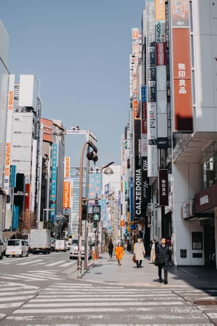 Tokyo, half day : private tour with an expert ! - Key Points