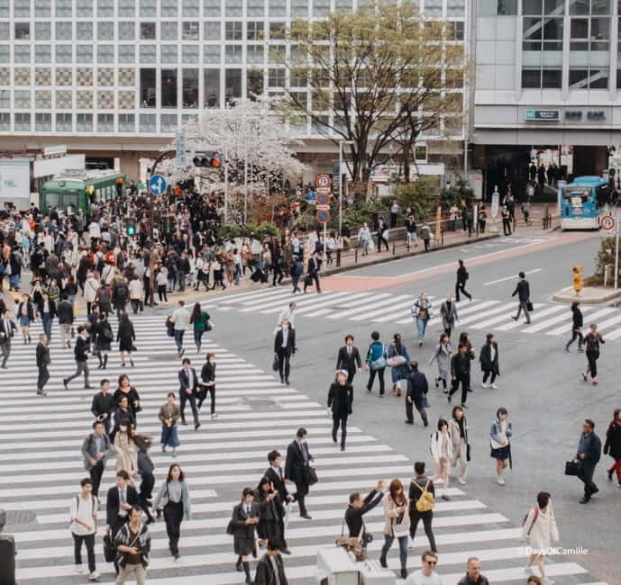 Tokyo, half day : private tour with an expert ! - An In-Depth Look at the Experience
