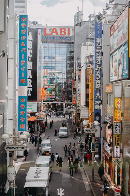 Tokyo, half day : private tour with an expert ! - Final Thoughts