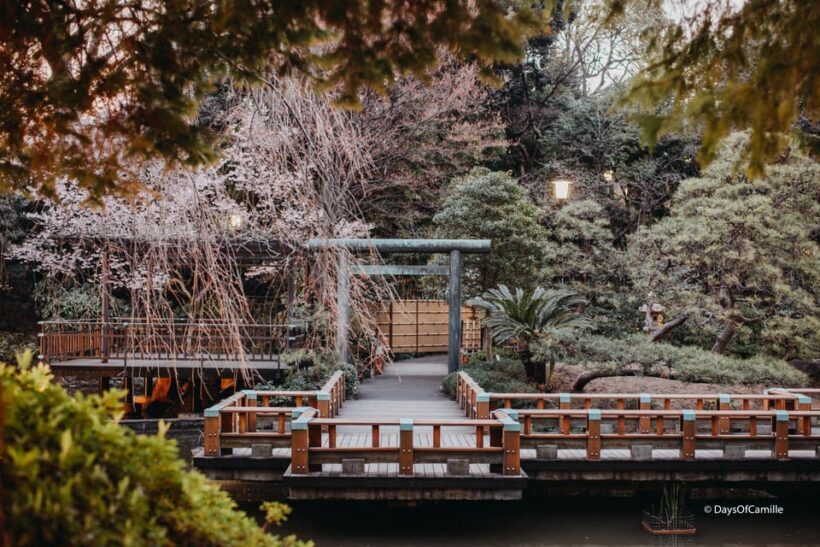 Tokyo, half day : private tour with an expert ! - FAQ
