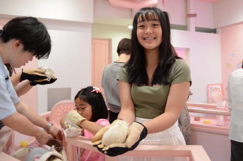 Tokyo: Harajuku Family Friendly Guided Walking Tour - Key Points