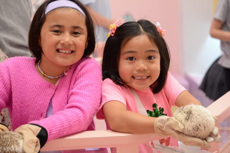 Tokyo: Harajuku Family Friendly Guided Walking Tour - Itinerary Highlights