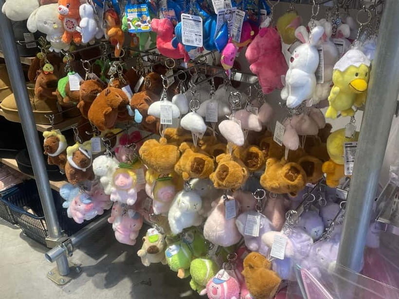 Tokyo: Harajuku "Kawaii" Pop Culture Shopping tour - Why This Tour Is a Good Fit