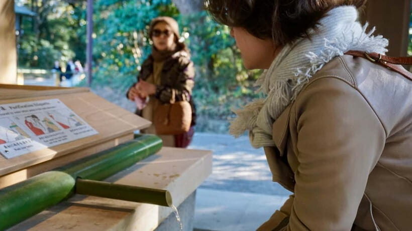 Tokyo: Harajuku Meiji Shrine 1h walking Explanation Tour - Who Will Love This Tour?