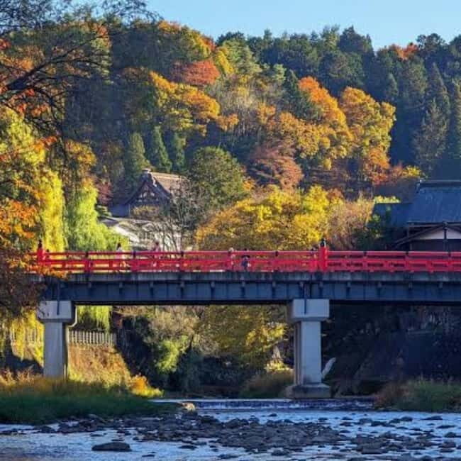 Tokyo: Hida Takayama & Shirakawa-go Day Trip with Guide - Who Should Consider This Tour?