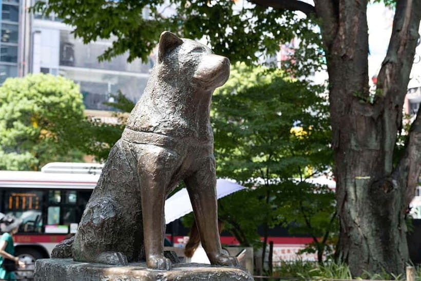 Tokyo Highlights Full-Day Private Tour with Hotel Pickup - FAQ