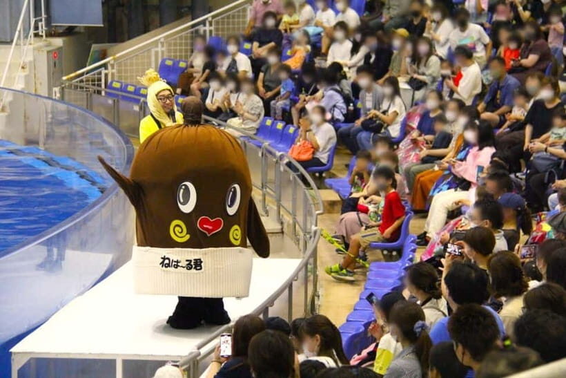 Tokyo: Hitachi Seaside Park & Aquaworld Oarai Aquarium Tour - Who Will Love This Tour?