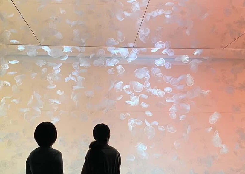 Tokyo: Hitachi Seaside Park & Aquaworld Oarai Aquarium Tour - FAQ