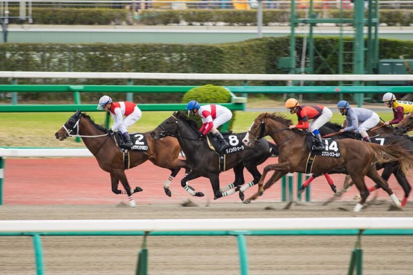 Tokyo: Horse Racing Tour with Local Fan - Key Points
