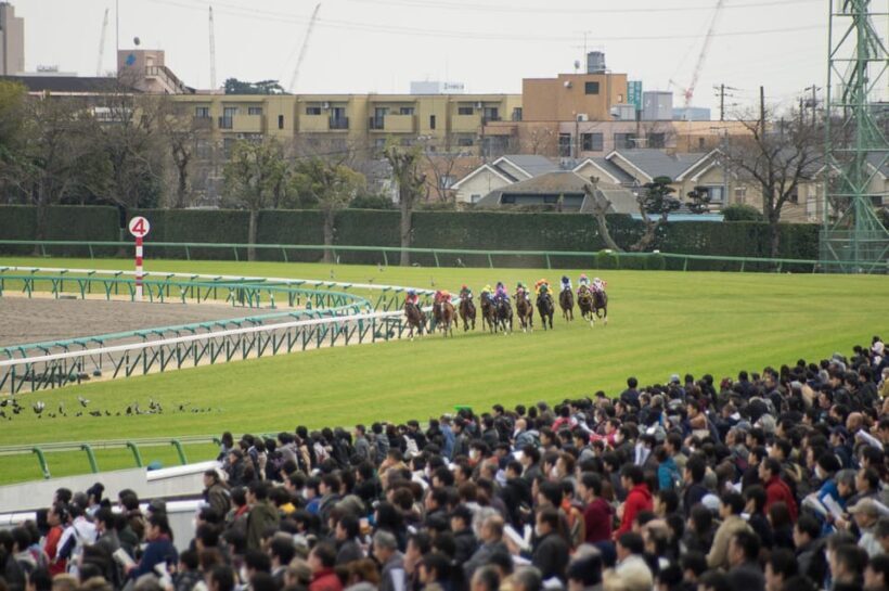 Tokyo: Horse Racing Tour with Local Fan - The Sum Up: Why Choose This Experience?