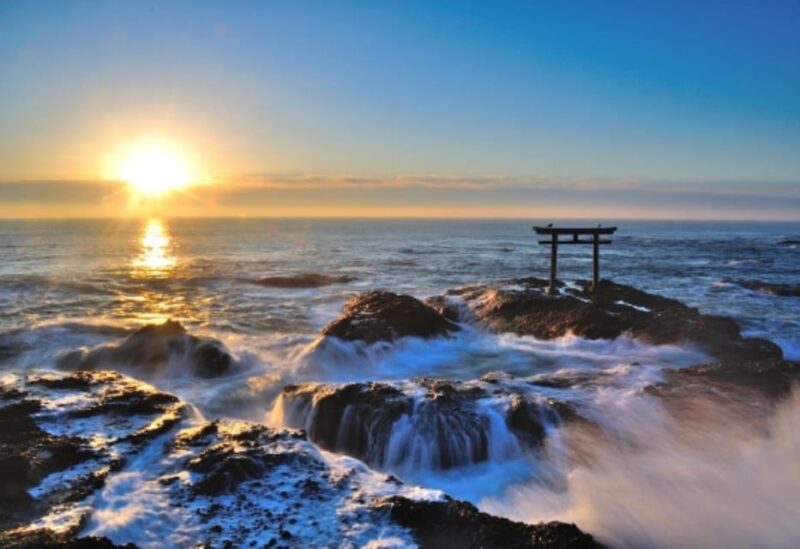 Tokyo: Ibaraki Shrine, Seafood Market & Flower Sea Day Tour - Key Points