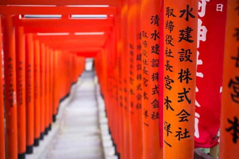 Tokyo: Instagram Highlights Tour with Licensed Guide - Key Points