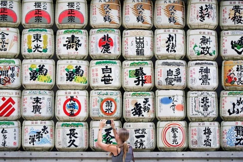 Tokyo: Instagram Highlights Tour with Licensed Guide - The Practical Side: Logistics, Cost, and Tips