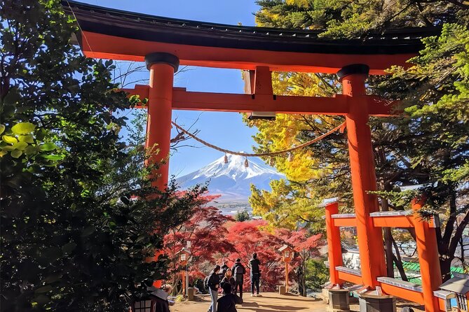 Tokyo: Instagram-Worthy Mt Fuji & Lake Kawaguchiko Day Trip - Cultural Immersion and Insights