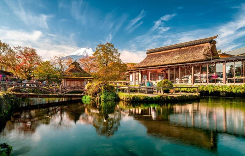 Tokyo: Instagramable Mount Fuji & Hakone Trip in Low Price - Transportation and Amenities