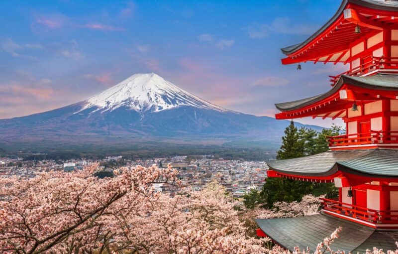 Tokyo: Instagramable Mount Fuji & Hakone Trip in Low Price - Reasons to Book This Tour