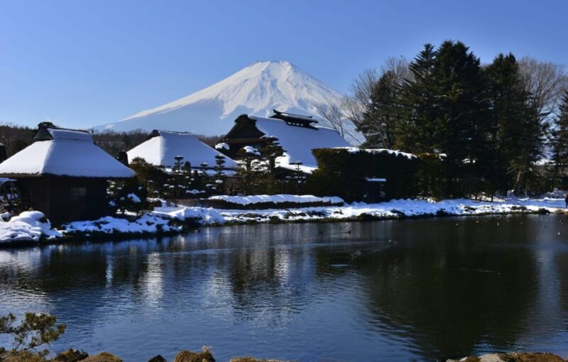 Tokyo: Instagramable Mount Fuji & Hakone Trip in Low Price - Customer Testimonials