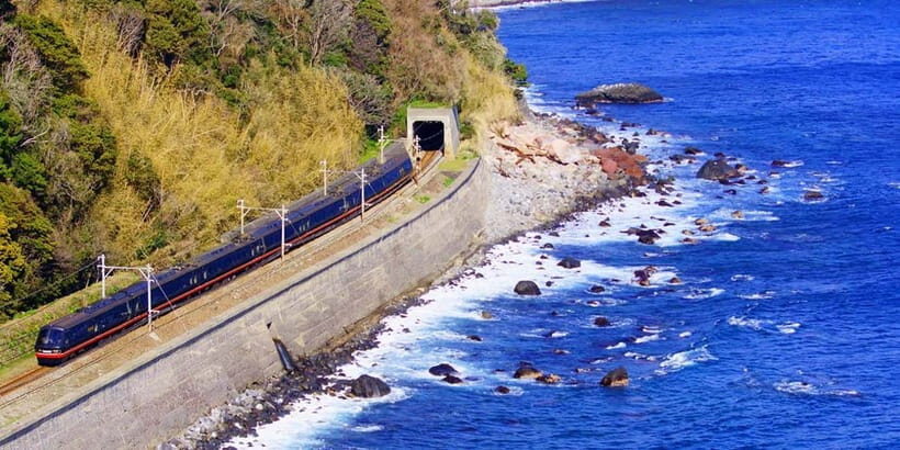 Tokyo: Izu Scenic Oceanview Train, Volcano, Coast Day Trip - An Overview of the Experience