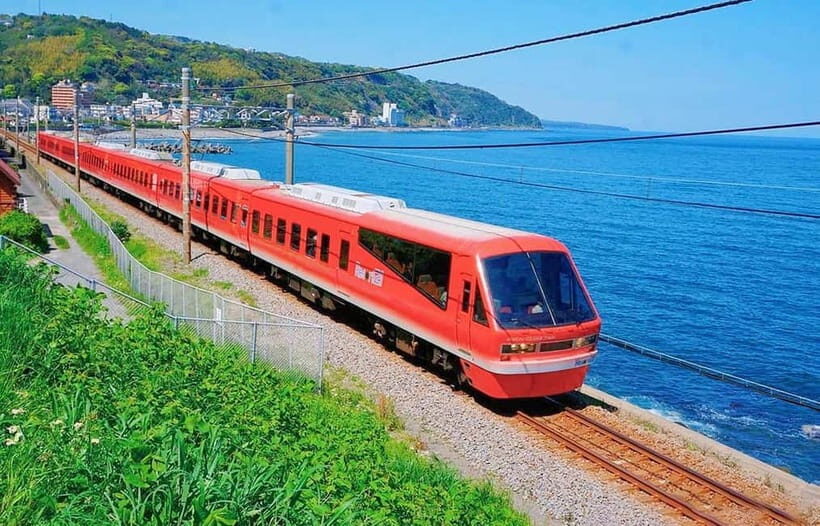 Tokyo: Izu Scenic Oceanview Train, Volcano, Coast Day Trip - What Makes This Tour Valuable?