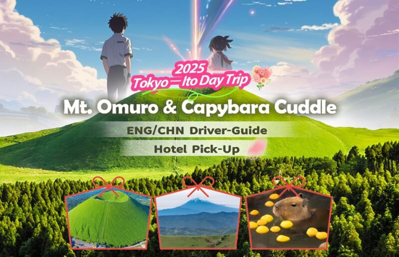 Tokyo: Izu Scenic Train &Kawazu Cherry Blossom & HotelPickup - Itinerary Highlights