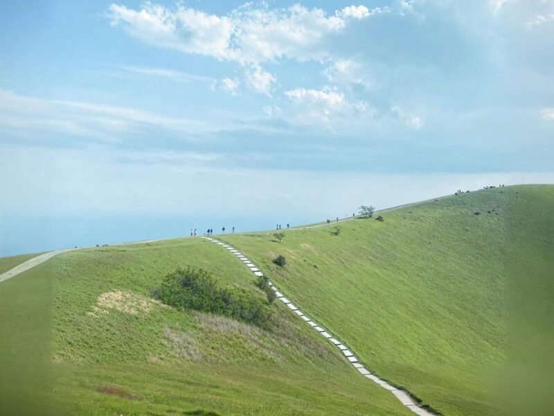 Tokyo: Izu Scenic Train &Kawazu Cherry Blossom & HotelPickup - Important Information