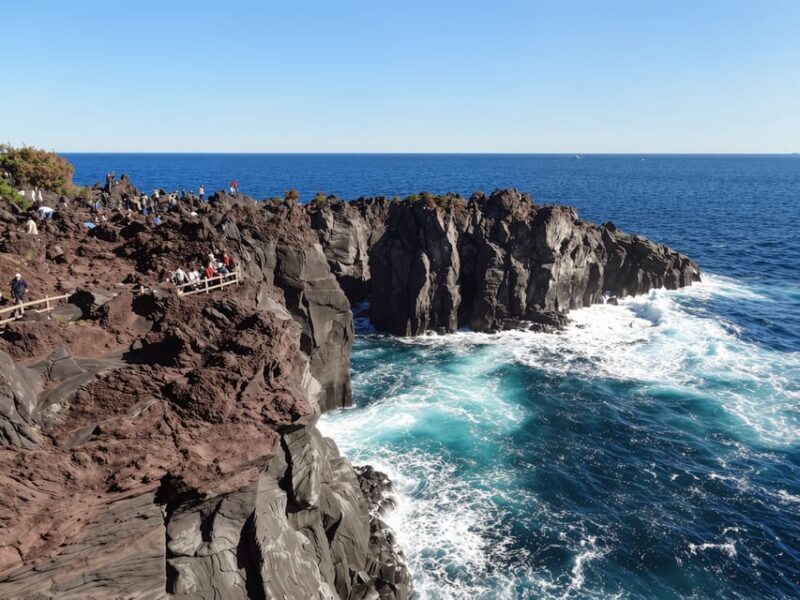 Tokyo: Izu Scenic Train &Kawazu Cherry Blossom & HotelPickup - The Sum Up