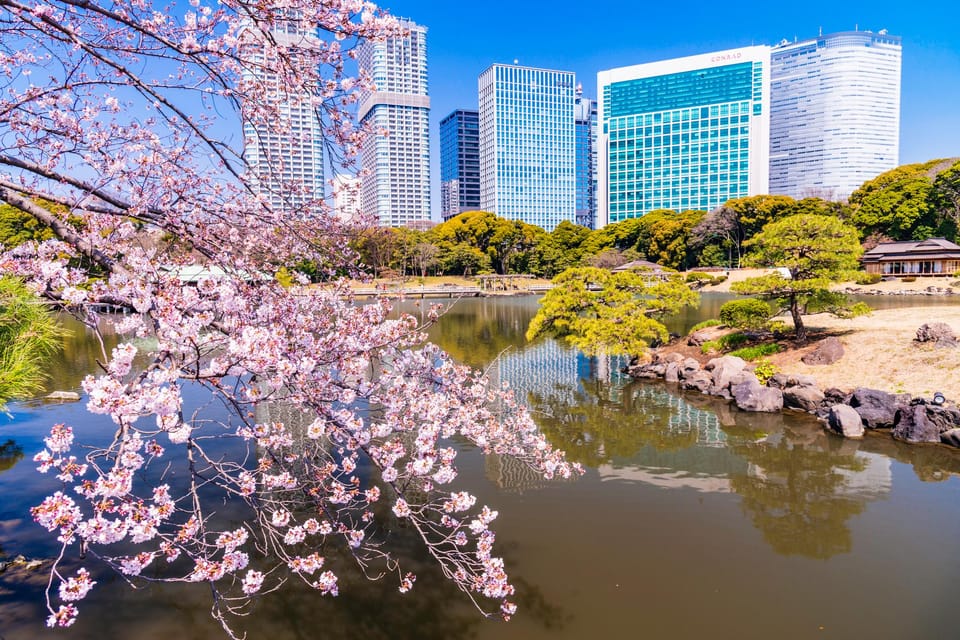 Tokyo: Japanese Garden and Surroundings Guided Walking Tour - Frequently Asked Questions