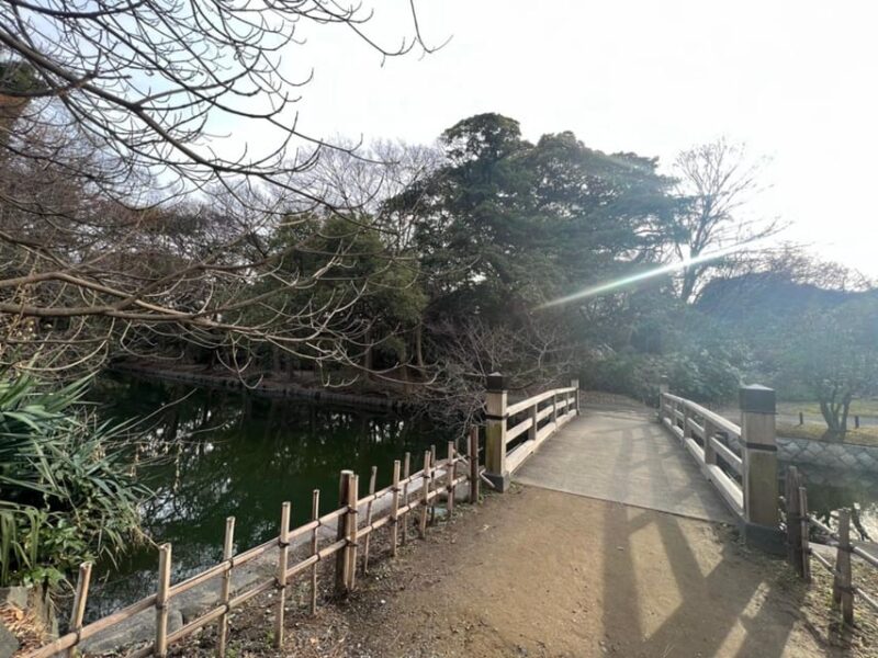 Tokyo: Japanese Garden Walking Tour With Tea and Sweets - Customer Testimonials and Recommendations