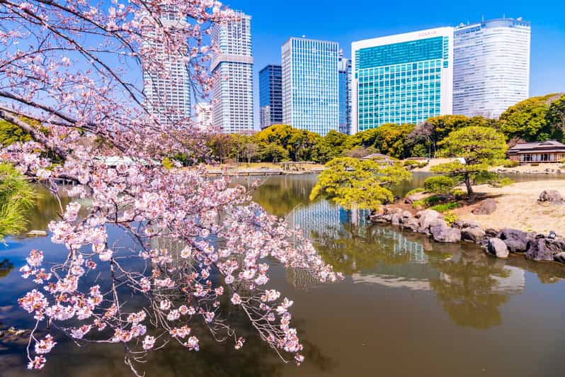 Tokyo: Japanese Garden Walking Tour With Tea and Sweets - Booking Your Memorable Tokyo Experience