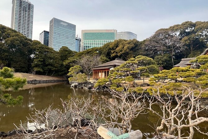 Tokyo: Japanese Garden Walking Tour With Tea and Sweets - Key Points