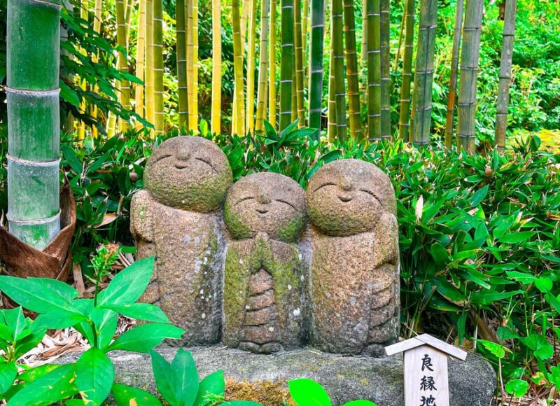 Tokyo: Kamakura Day Tour in Spanish - Spanish - Key Points