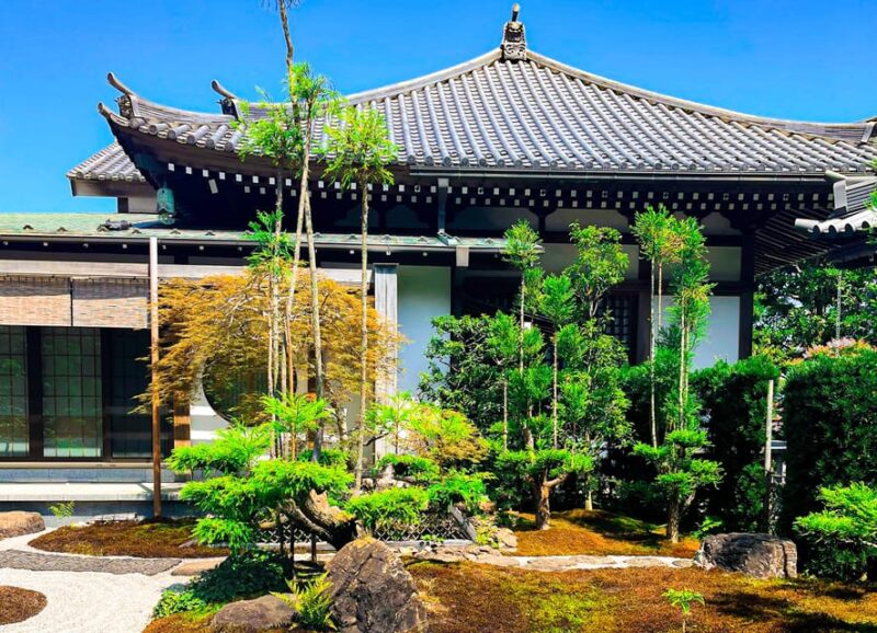 Tokyo: Kamakura Day Tour in Spanish - Spanish - Komachi Dori Street