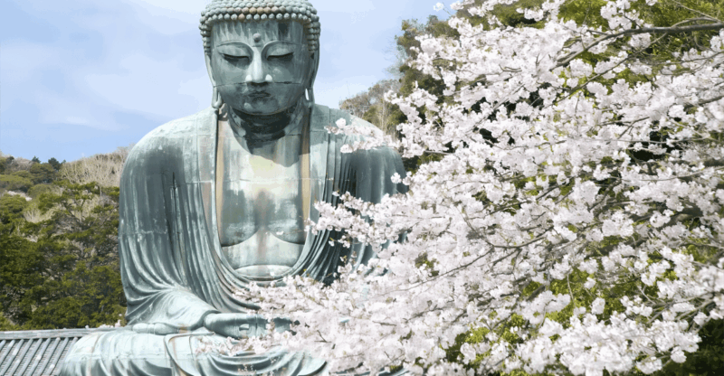 Tokyo: Kamakura & Enoshima Day Tour With Hotel Pickup - Itinerary Highlights