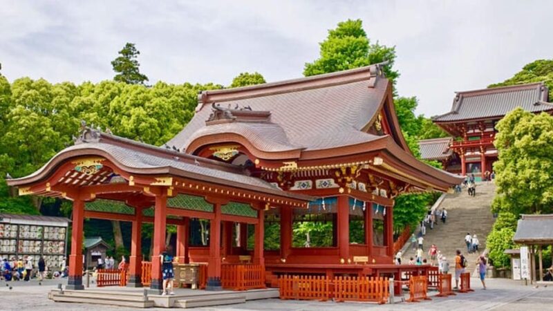 Tokyo: Kamakura & Enoshima Day Tour With Hotel Pickup - Important Information