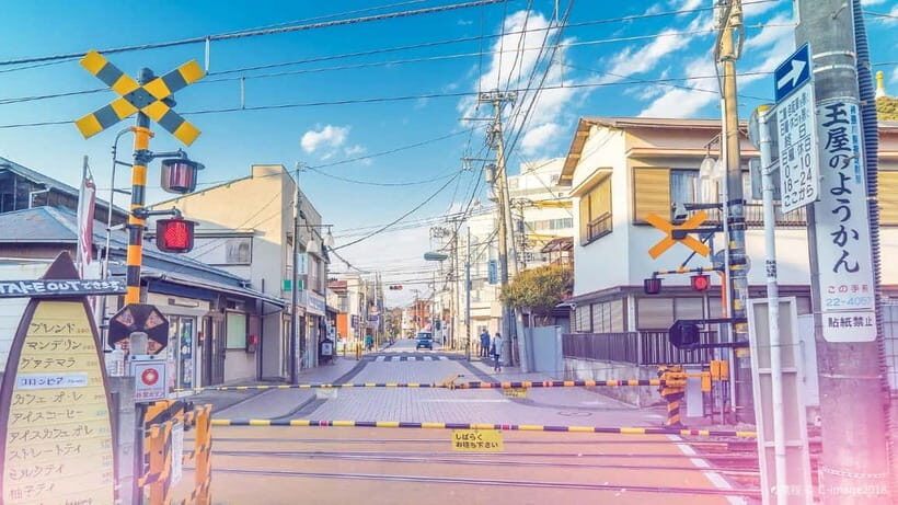 Tokyo: Kamakura & Enoshima Island /w Pick Up & Train Ride - Transportation, Group Size, and Value