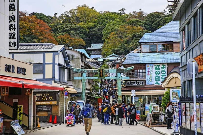Tokyo: Kamakura & Enoshima Island /w Pick Up & Train Ride - Who Will Love This Tour?