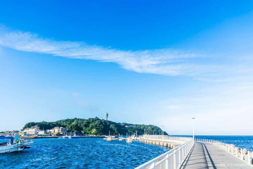 Tokyo: Kamakura & Enoshima Island /w Pick Up & Train Ride - The Sum Up: A Practical, Authentic Day out in Kamakura & Enoshima