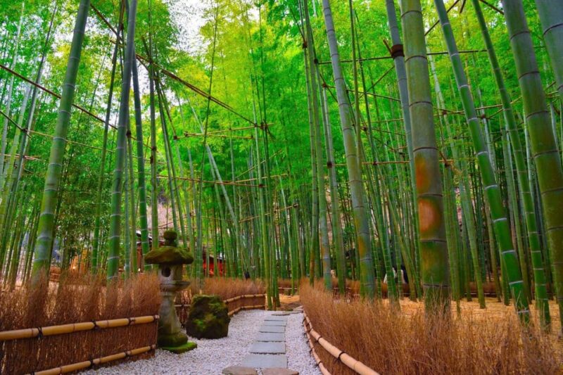 Tokyo: Kamakura Private Tour English Speaking Driver - Important Information and Recommendations