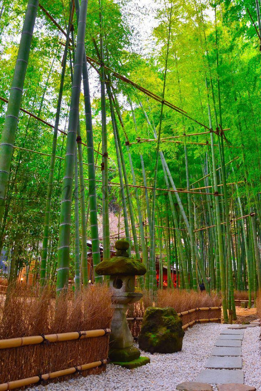 Tokyo: Kamakura Private Tour English Speaking Driver - Exploring Iconic Kamakura Landmarks