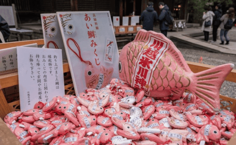 Tokyo: Kawagoe Private Day Trip With Hotel Pickup - Customizable Itinerary