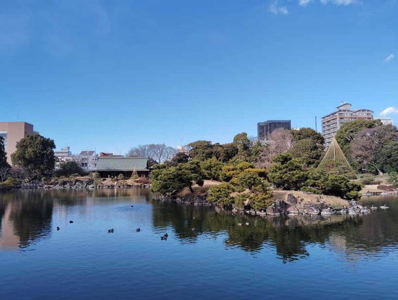 Tokyo: Kiyosumi Garden Guided Tour - The Experience: What You’ll Truly Appreciate