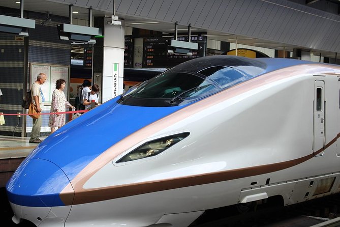 Tokyo Layover Tour With a Local: Private and Tailored to Your Needs - Customization and Accessibility