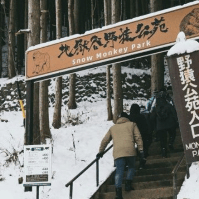 Tokyo: Luxury Snow Monkey Park Private Tour In Land Cruiser - Jigokudani Monkey Park