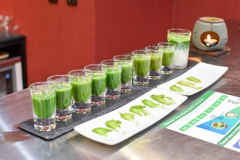 Tokyo: Matcha Tasting and Making Experience - A Deep Dive into the Tokyo Matcha Experience