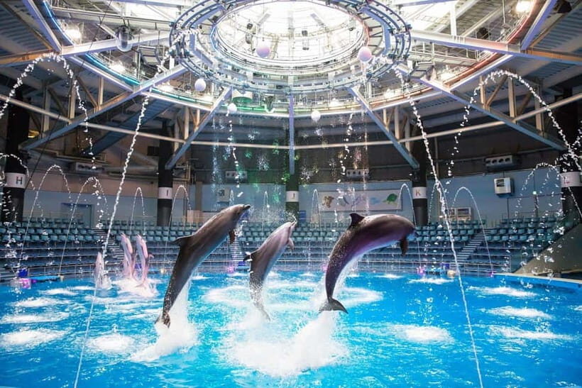 Tokyo: Maxell Aqua Park Shinagawa Direct Entry Ticket - The Itinerary and What You’ll See