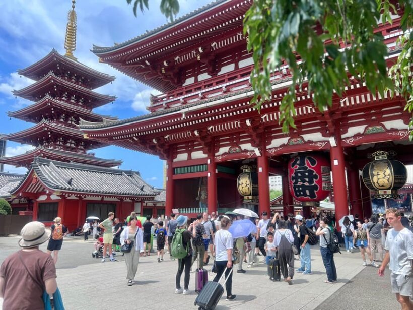 Tokyo: Meiji Jingu Shrine and Shinto Culture Walking Tour - Who Should Consider This Tour?