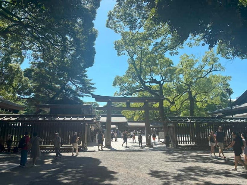 Tokyo: Meiji Jingu, Yoyogi Park & Takeshita Street Tour - Final Thoughts