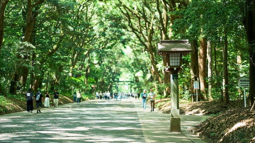Tokyo: Meiji Shrine Walking Tour  Shinto & Imperial System - Key Points
