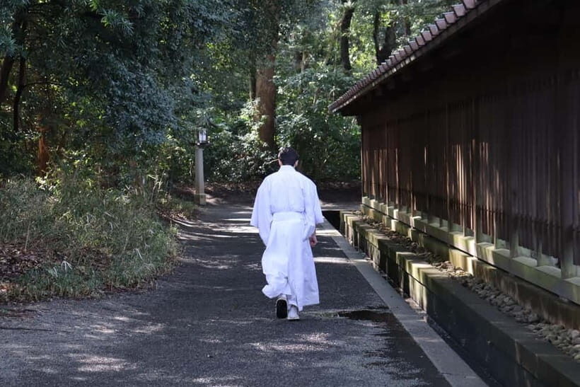 Tokyo Morning Highlights: Shibuya, Asakusa, Meiji Shrine - Tokyo Morning Highlights: Shibuya, Asakusa, Meiji Shrine